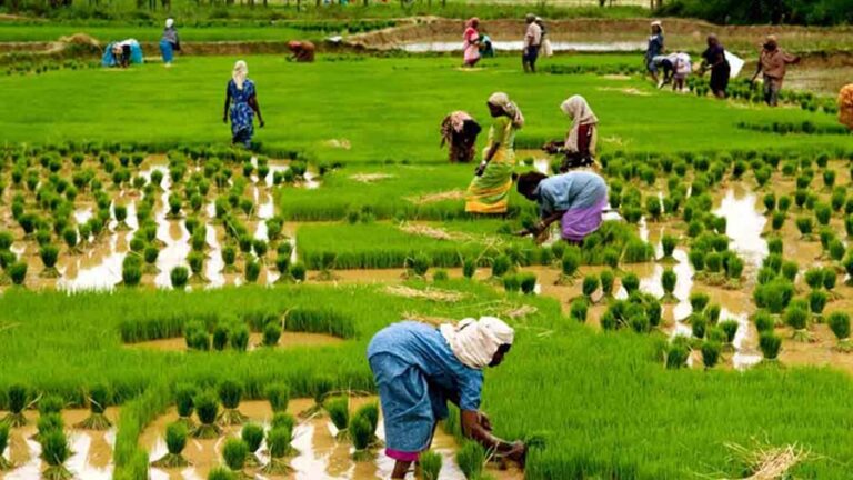 Duare Sarkar- An Analysis – Saptarshi Nag